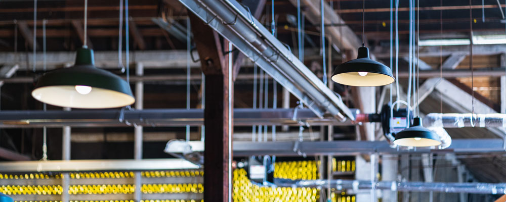 Scalable Innovative Automation Systems Built for the Future